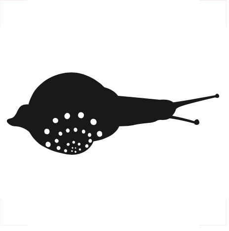 V5 | Dan Raven-Ellison